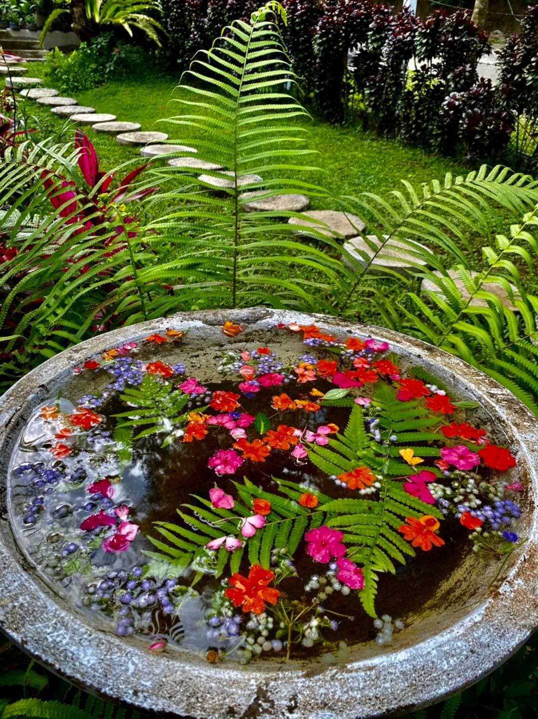 Gina’s Garden and Farm | PH.vacations