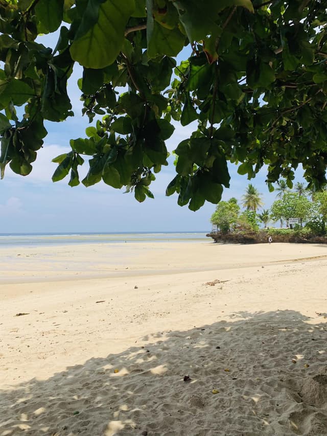 COCO GovGen BEACH Resort | PH.vacations